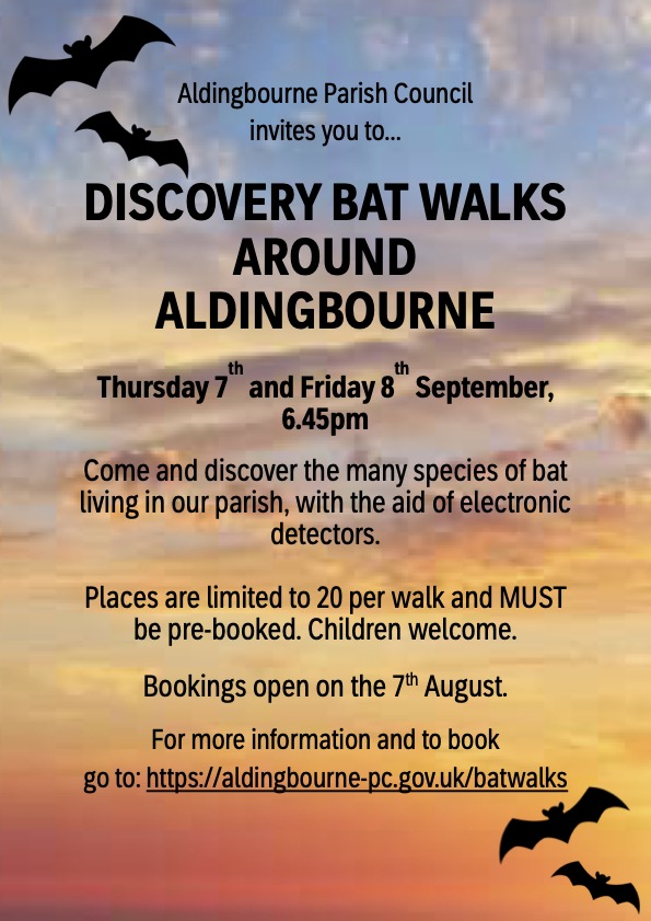 Aldingbourne - batwalks